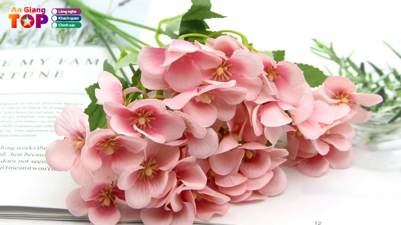 Top 4 cửa hàng bán hoa lụa ở An Giang đẹp, bền theo thời gian